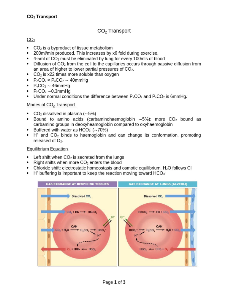 Carbondioxide Transport | PDF | Red Blood Cell | Carbon Dioxide