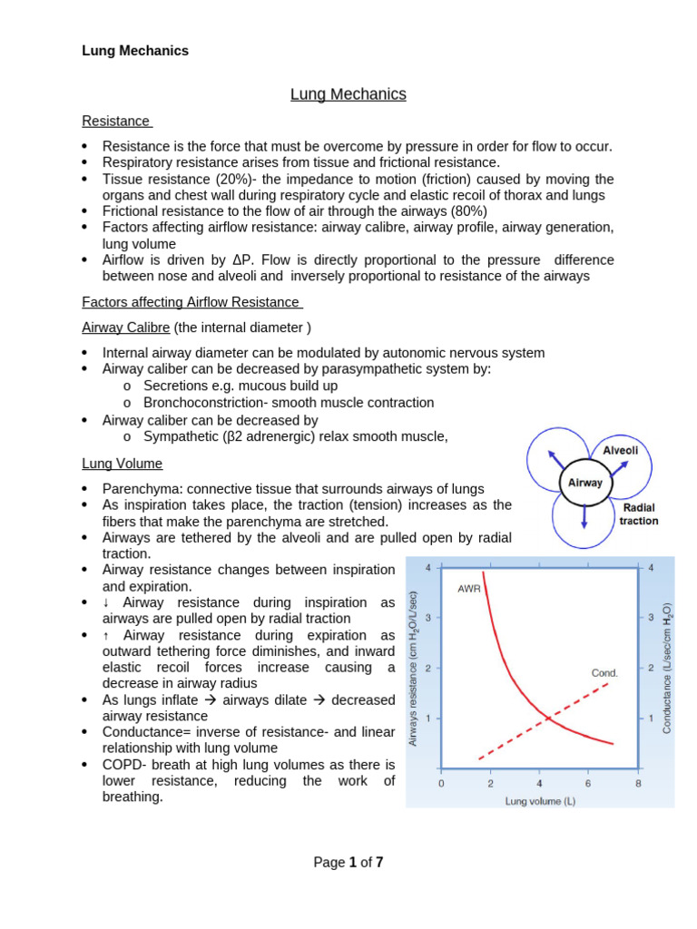 4. Lung Mechanics | PDF | Lung | Respiratory Tract