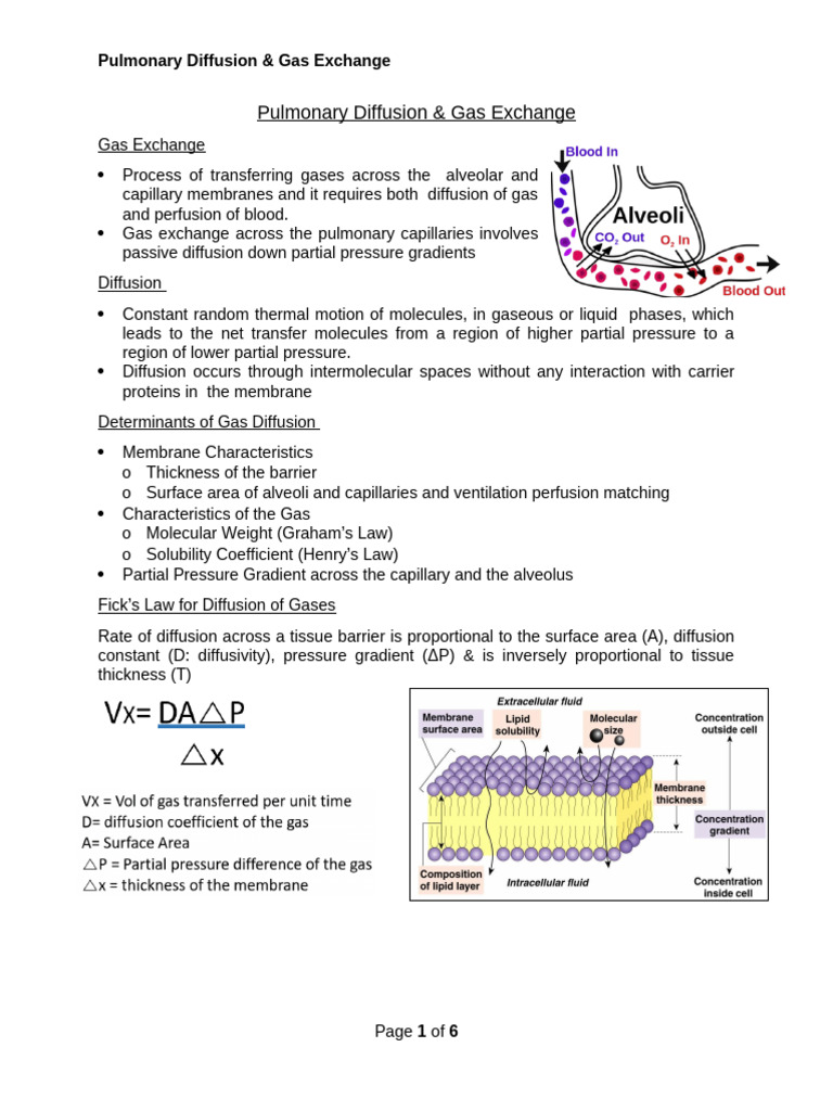 Pulmonary Diffusion and Gas Exchange | PDF | Diffusion | Breathing