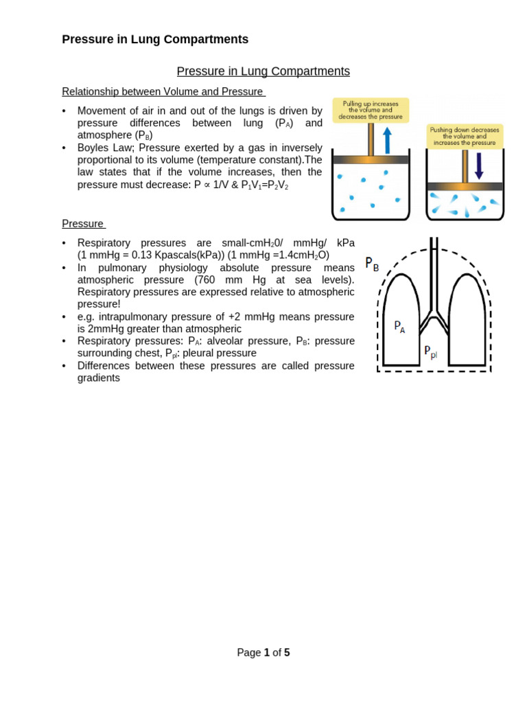Pressure in Lung Compartments | PDF | Lung | Respiratory System