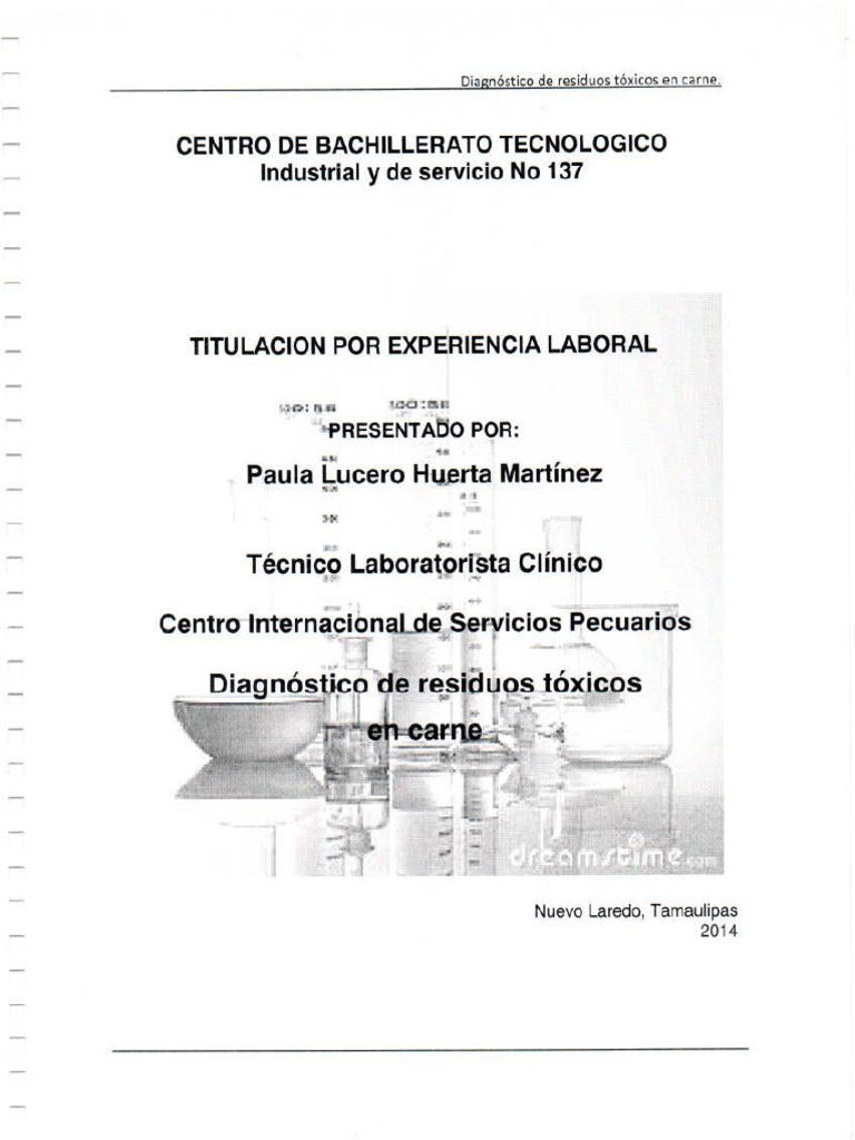 Ejemplo POR EXPERIENCIA LABORAL (4567) | PDF