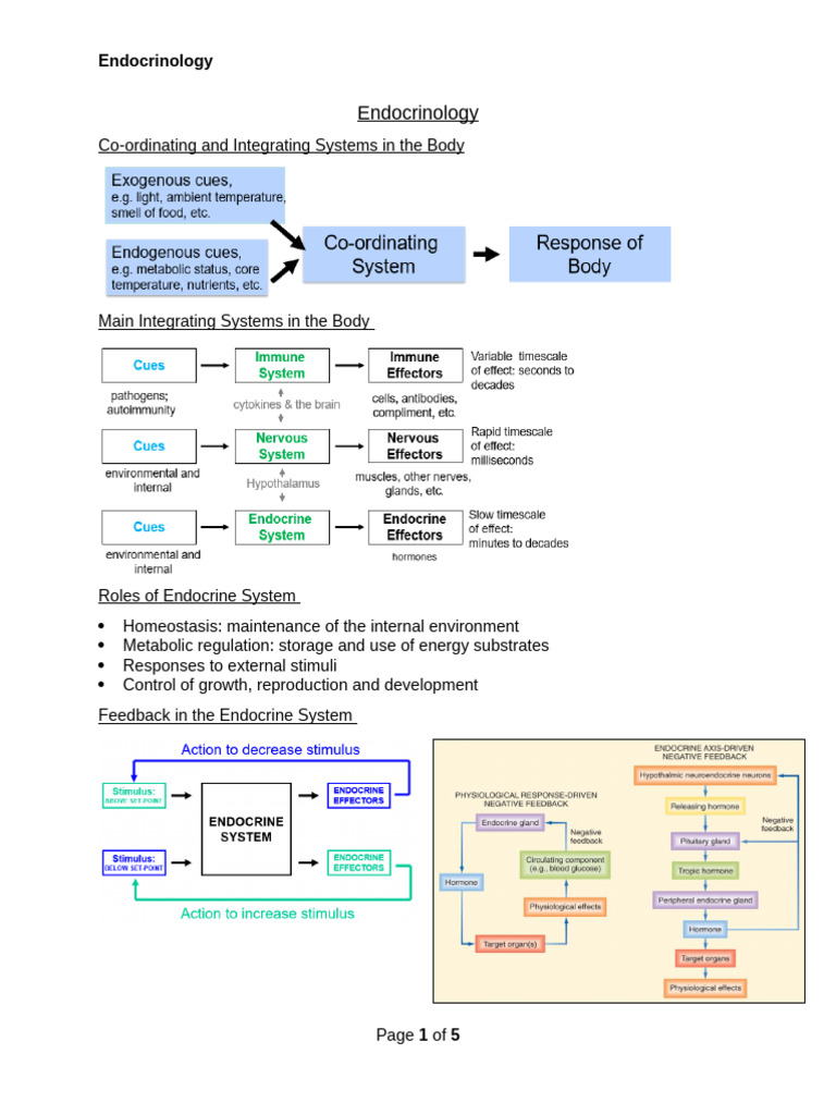 Endocrinology Pdf Hormone Receptor Biochemistry