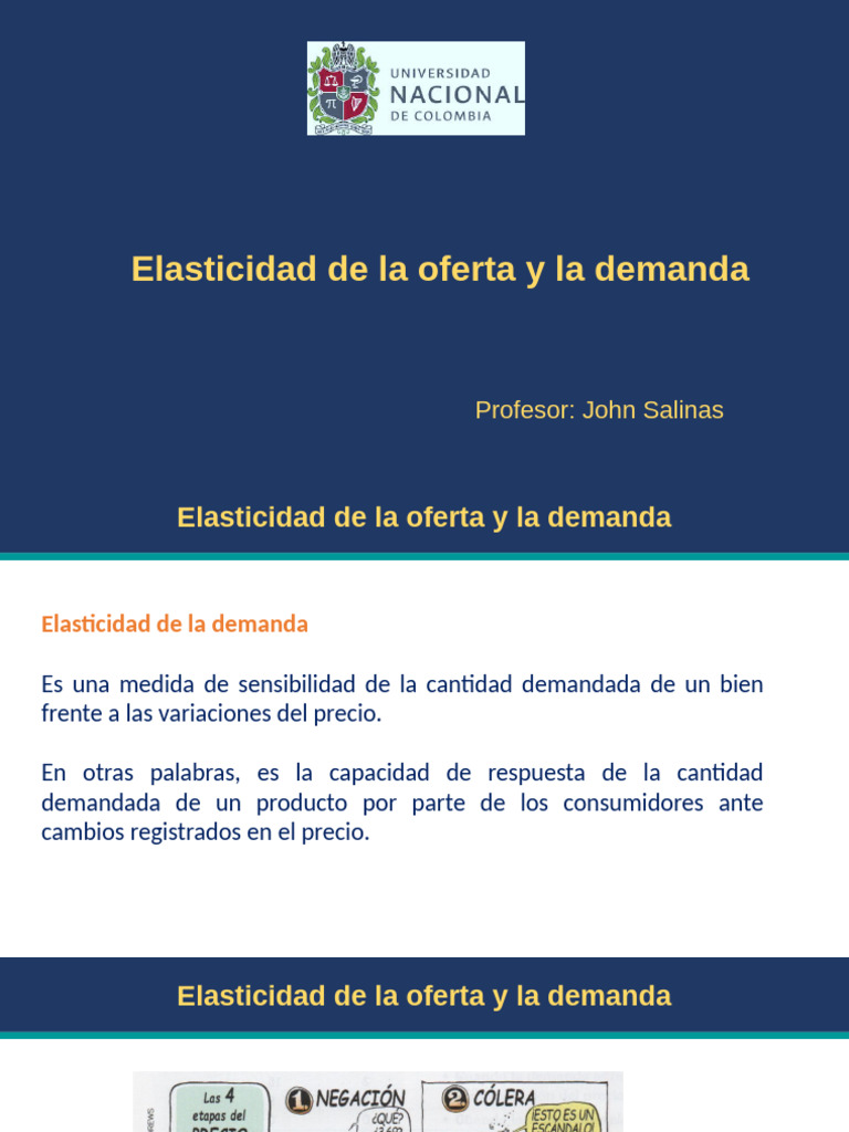 La Elasticidad de La Oferta y La Demanda 2024 (1) | PDF | Elasticidad (economía) | Oferta y demanda