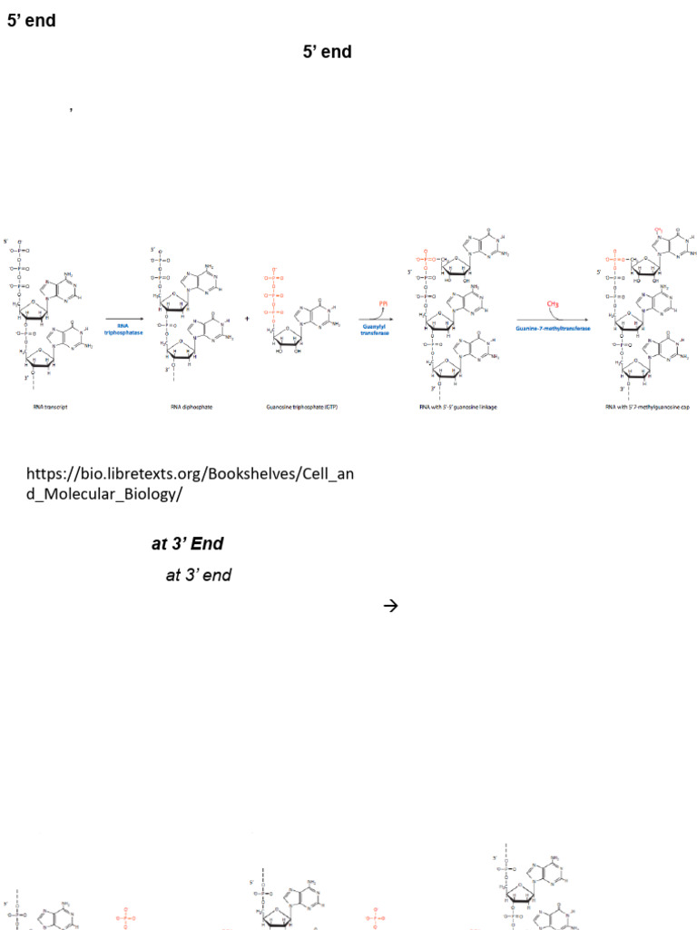9-Gene Regulation - Post Translational Modifications-25-09-2024 | PDF ...
