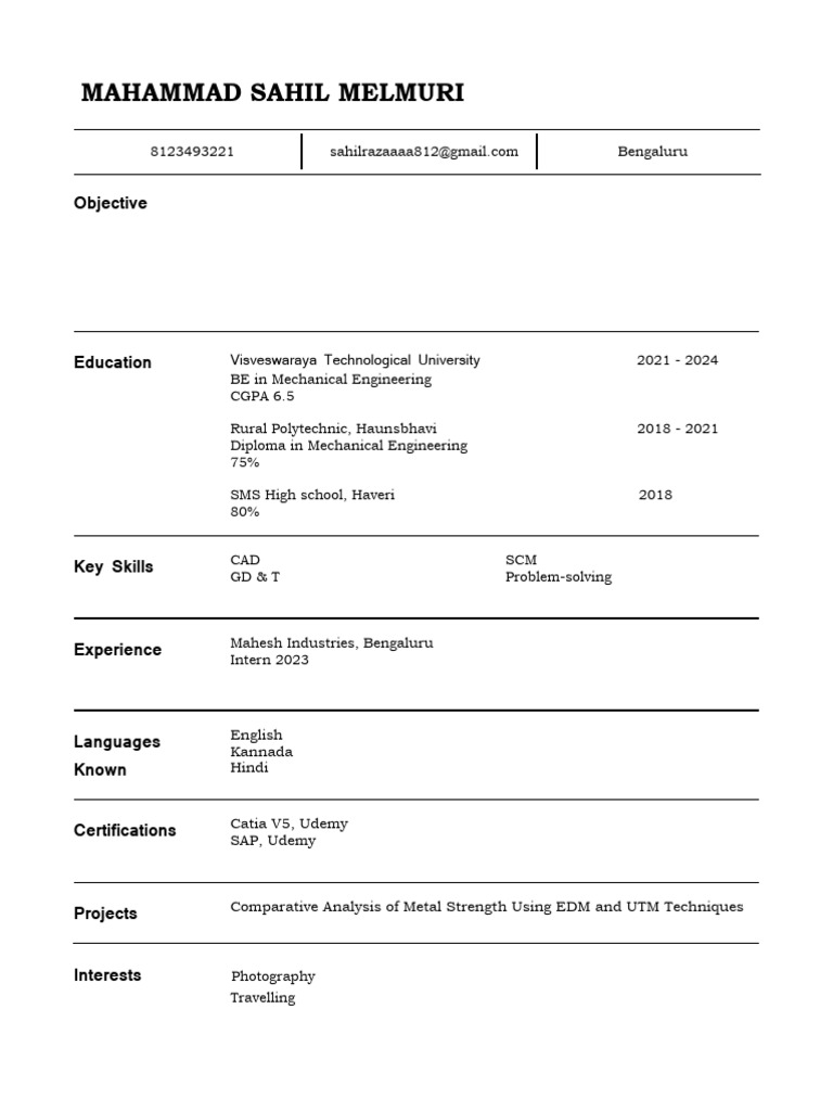 Sahil Raza Resume | PDF