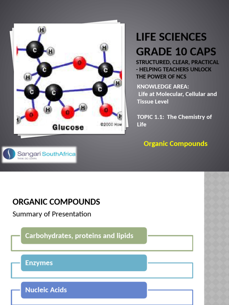 PP2. Organic Compounds V2 | PDF | Carbohydrates | Fat