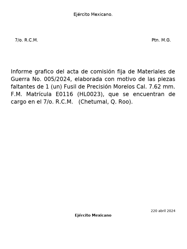 Informe Grafico de Fusil Morelos - 095839 | PDF