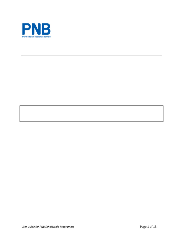 user guide pnb | PDF | Internet Explorer | Internet