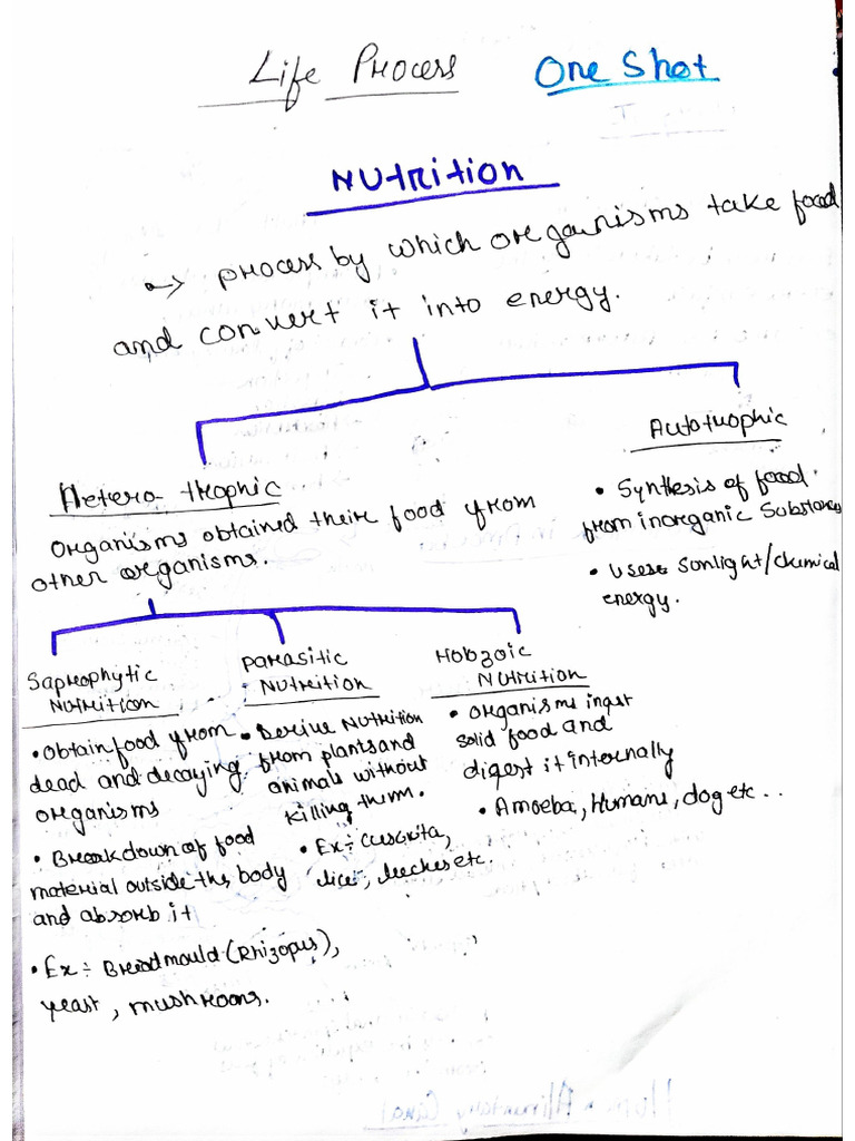 Science Class 10 Life Process One Shot Revision | PDF