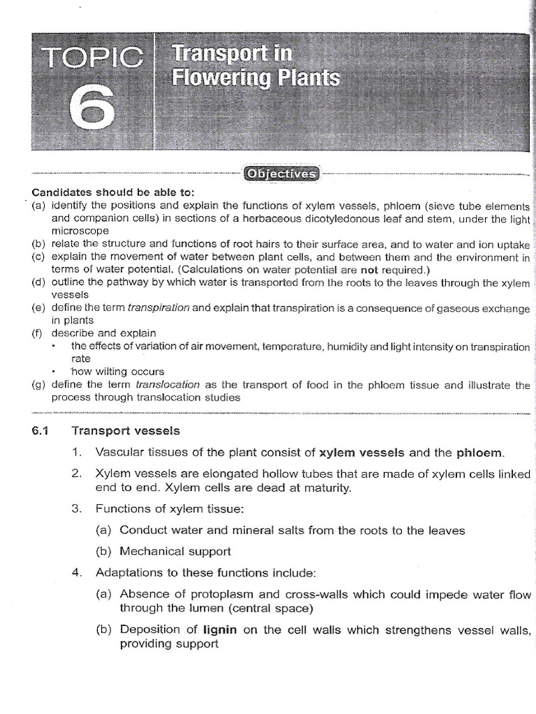 PLANT TRANSPORT (bio) | PDF