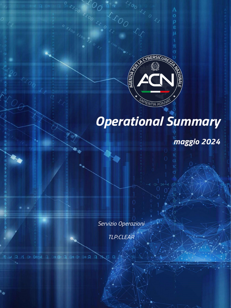ACN Operational Summary 2024 | PDF
