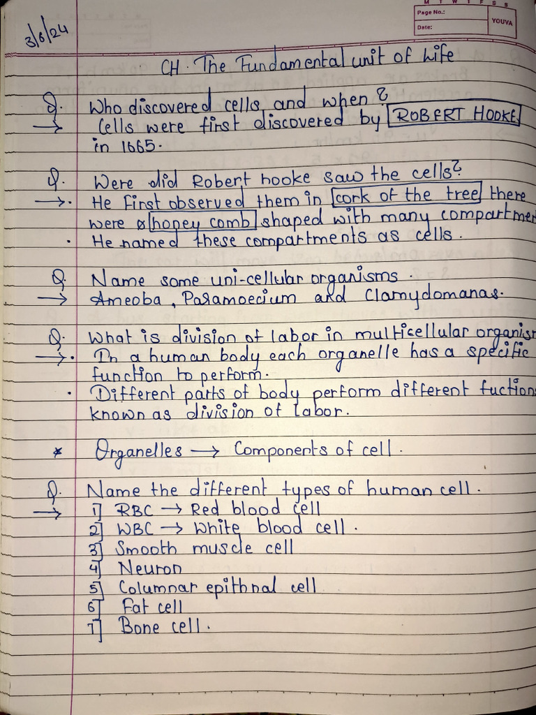 BIO CELL Notes | PDF