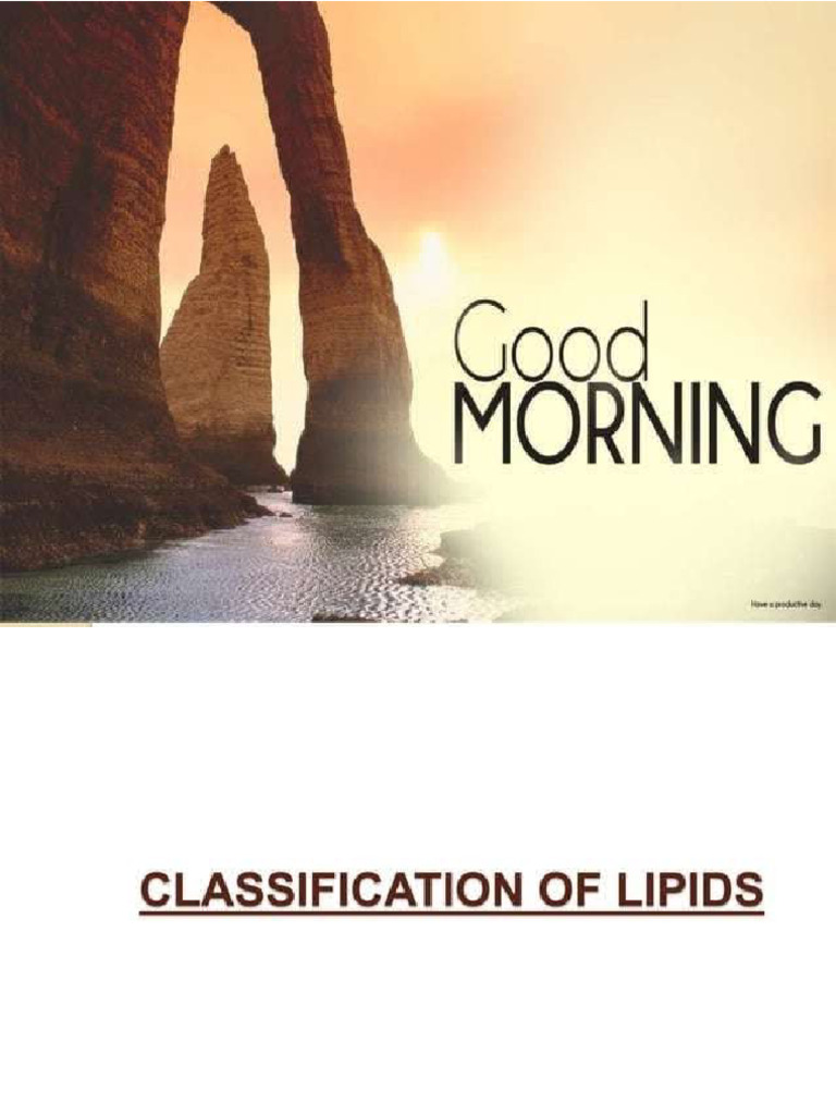 Lipid Classification | PDF
