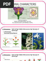 Floral Formulas and Diagrams Explained | PDF | Petal | Flowers