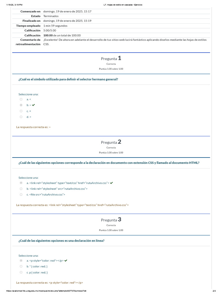 Ejercicio sobre Hojas de Estilo CSS | PDF | Informática | ciberespacio