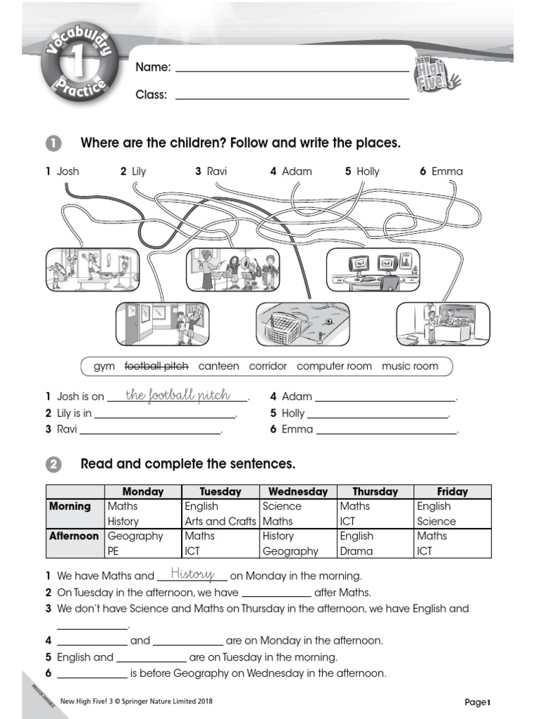 Third Grade Exam Study Guide | PDF