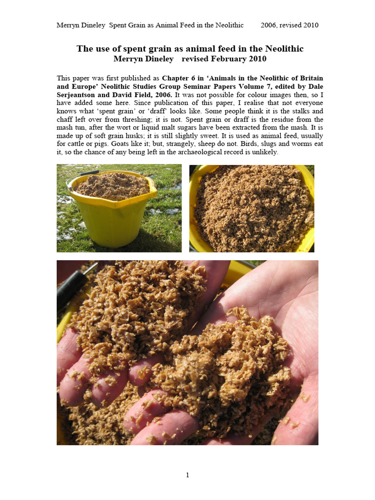 DINELEY Merryn - The Use of Spent Grain As Animal Feed in The Neolithic ...