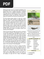 Insect Research Report Template | PDF