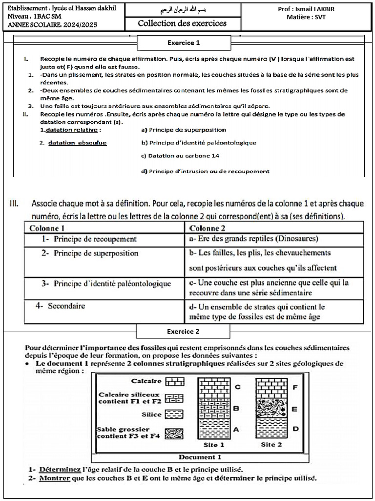 Exercices SVT 1BAC SM 2024/2025 | PDF