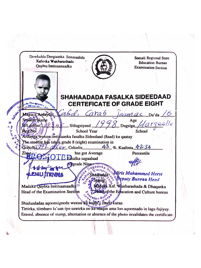 Abdi Arab Documents | PDF