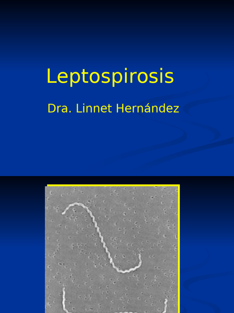 4.4 Leptospirosis | PDF | Microbiología | Medicina CLINICA