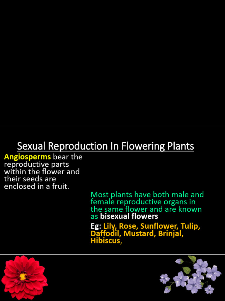 reproduction | PDF | Flowers | Reproductive System