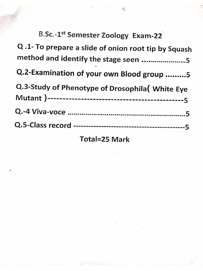 B.sc1 Sem.zoology | PDF