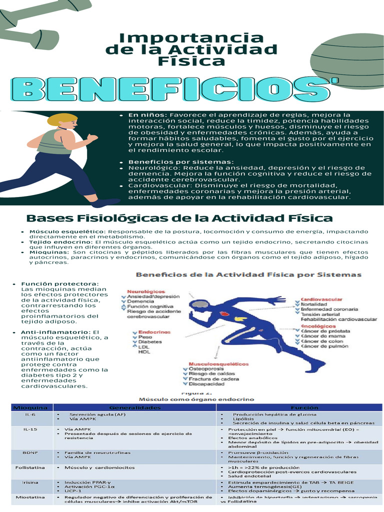Infografía Beneficios Del Deporte Ilustrada Aesthetic Verde | PDF ...