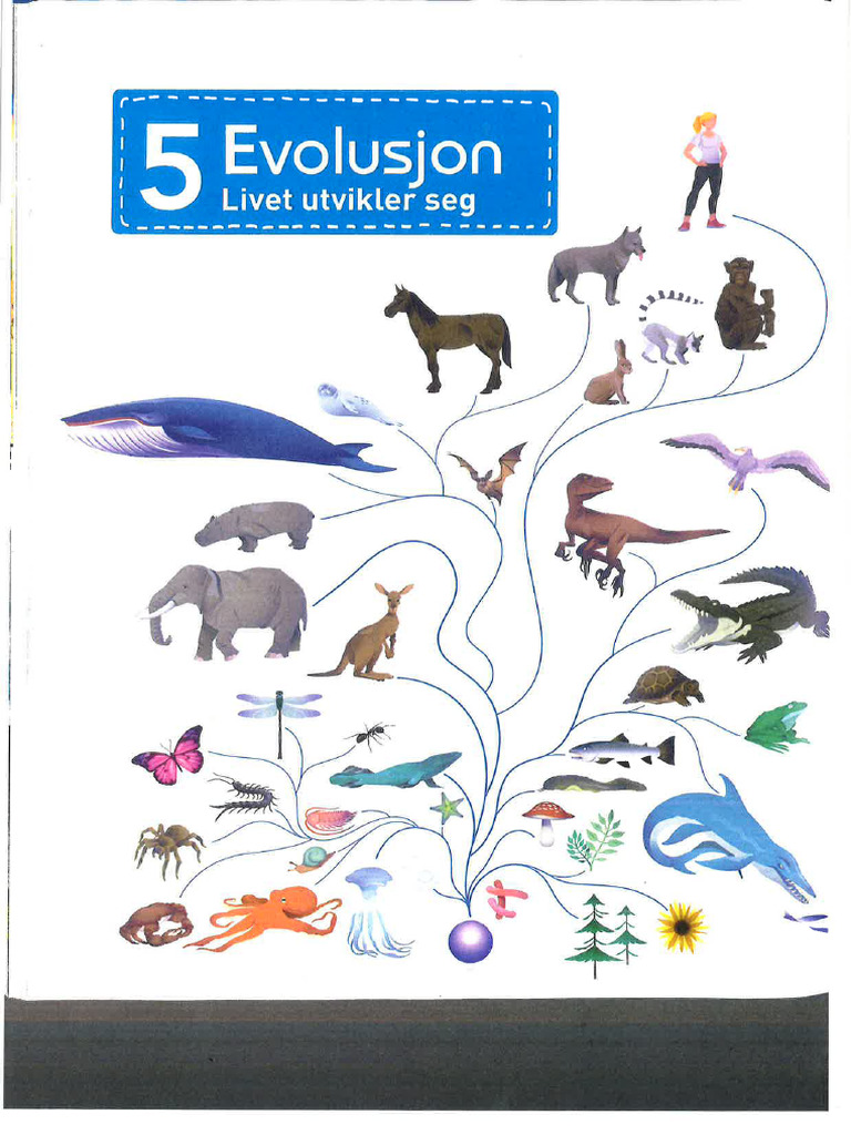 Kap. 5 Evolusjon | PDF