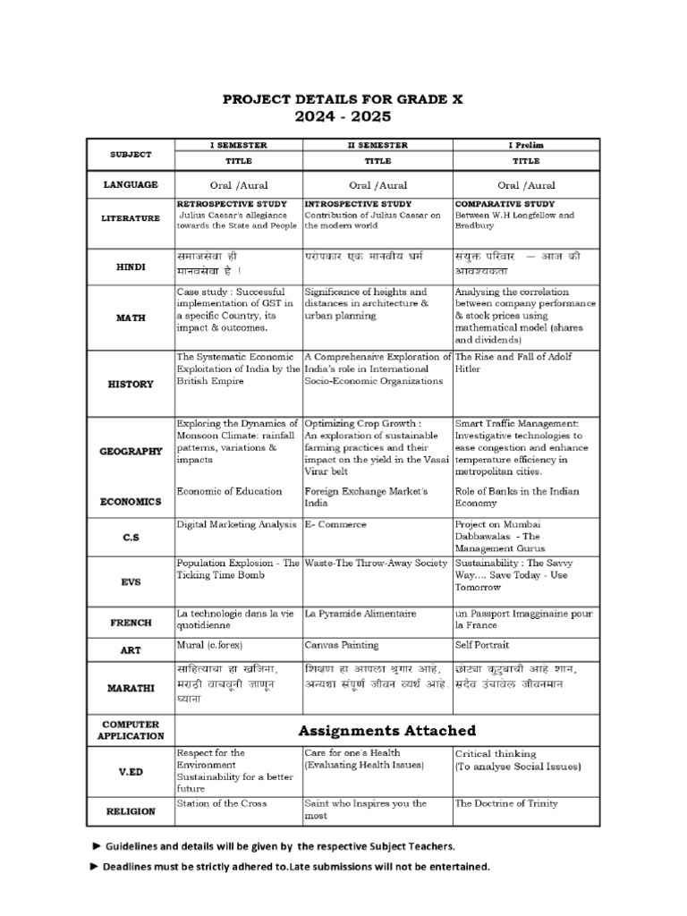 Std X Project Details 2024 2025 Pdf String Computer Science Integer Computer Science