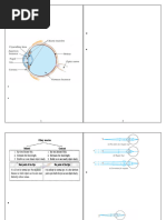 Class 10 Science Chapter 11 The Human Eye and The Colourful World Notes ...