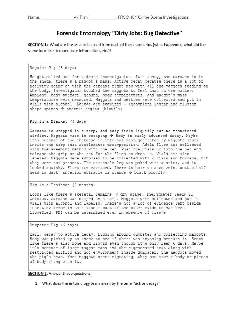 FRSC 401 - Forensic Entomology Worksheet - Ditry Jobs, Bug Detective | PDF | Decomposition | Insects