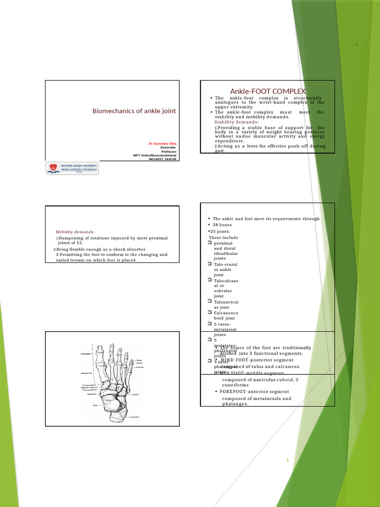 Ankle-Foot Complex Biomechanics Overview | PDF | Ankle | Joints