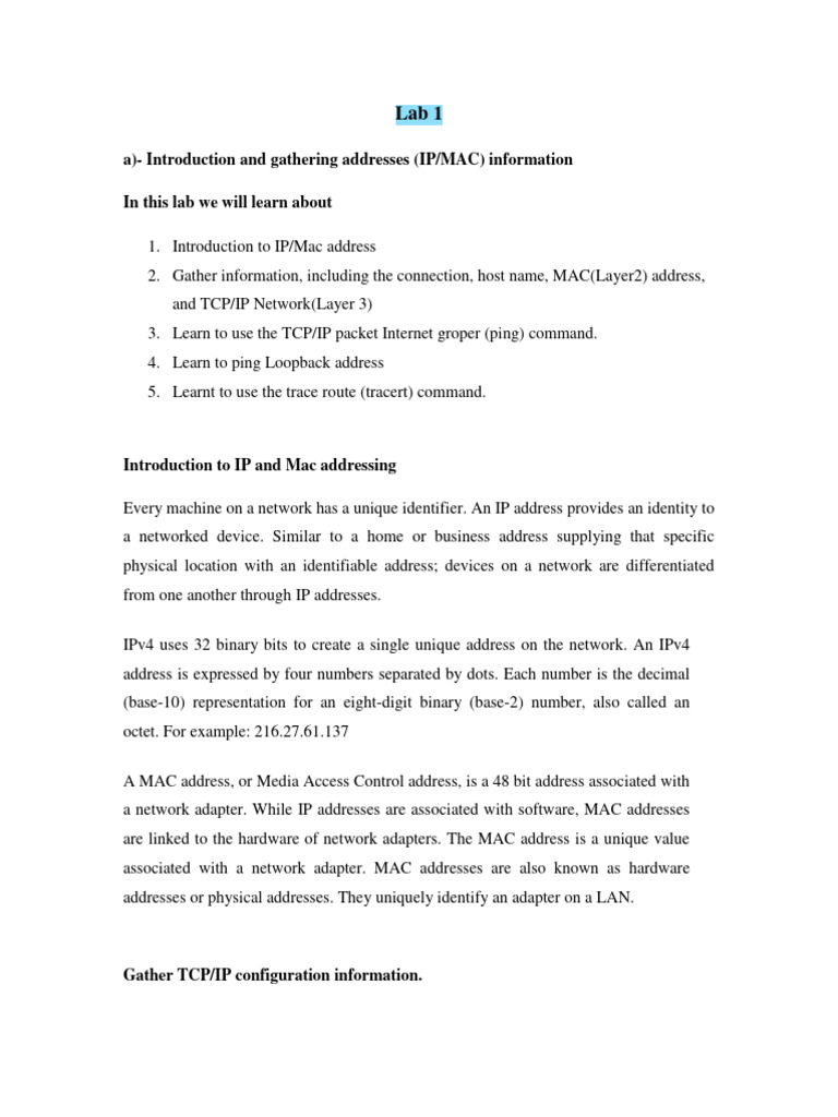 Cs610p-All Labs by DL | PDF | Routing | Computer Network