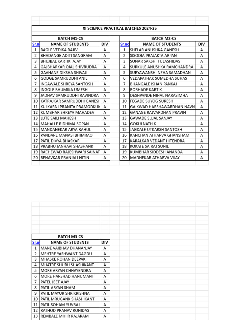 11th Sci Division Practical Batches 2024-2025.Xlsx - XI SCI PRACTICAL BATCHES | PDF