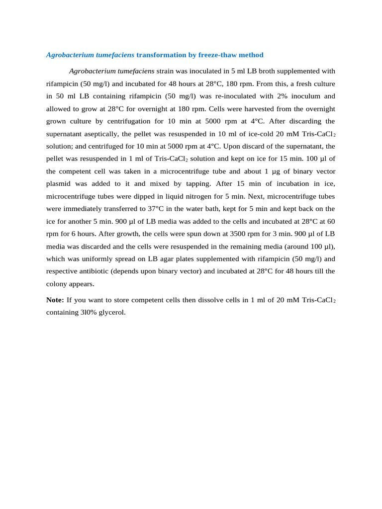 Agrobacterium Transformation Protocol | PDF