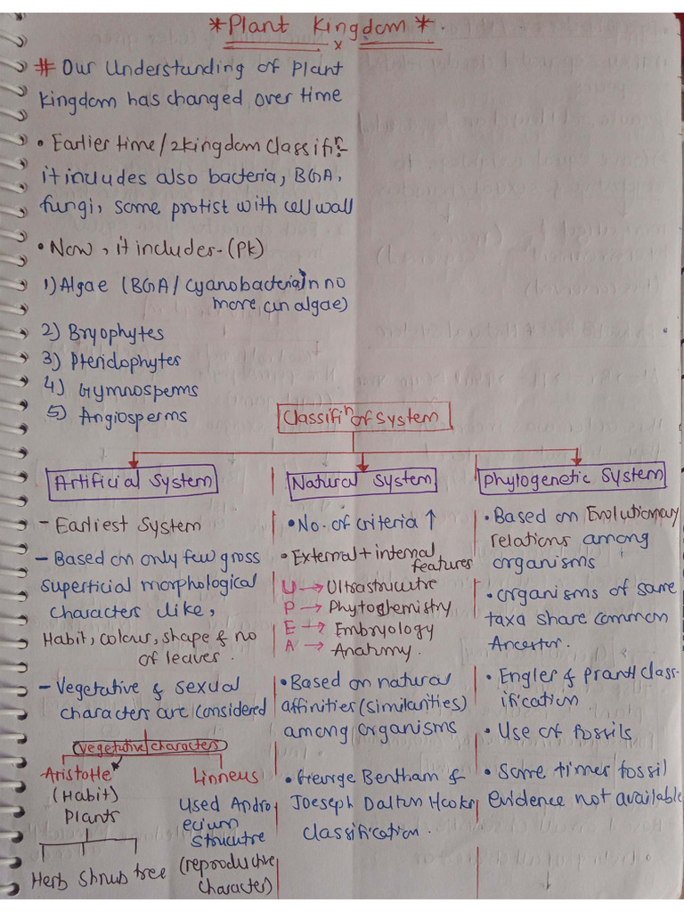 Plank Kingdom Class 11 by TK | PDF