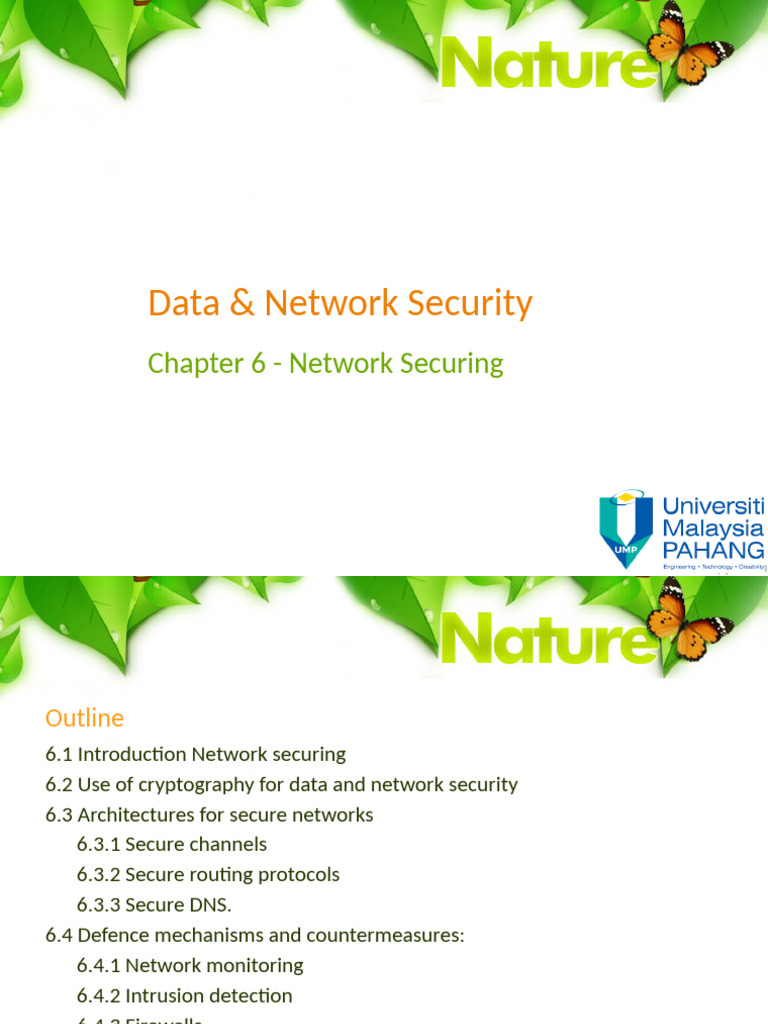Network Security Strategies and Mechanisms | PDF | Computer Network | Computer Security