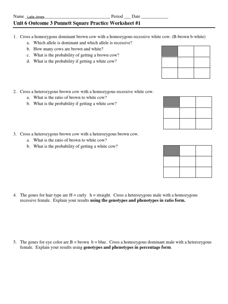 Punnett Square Practice Worksheets | PDF | Dominance (Genetics) | Genotype