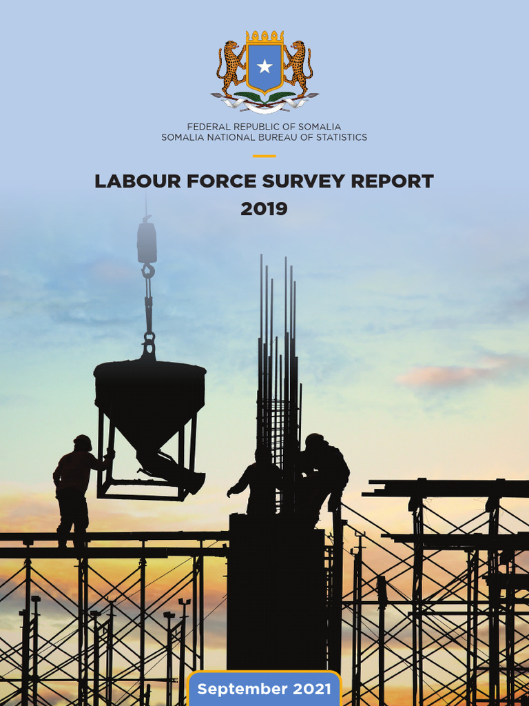 Labour Force Survey Reports 2021 | PDF | Unemployment | Labour Economics