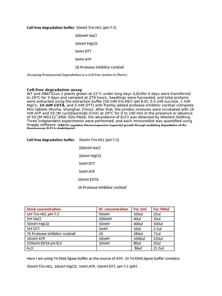 Cell Free Degradation Assay | PDF | Western Blot | Biochemistry