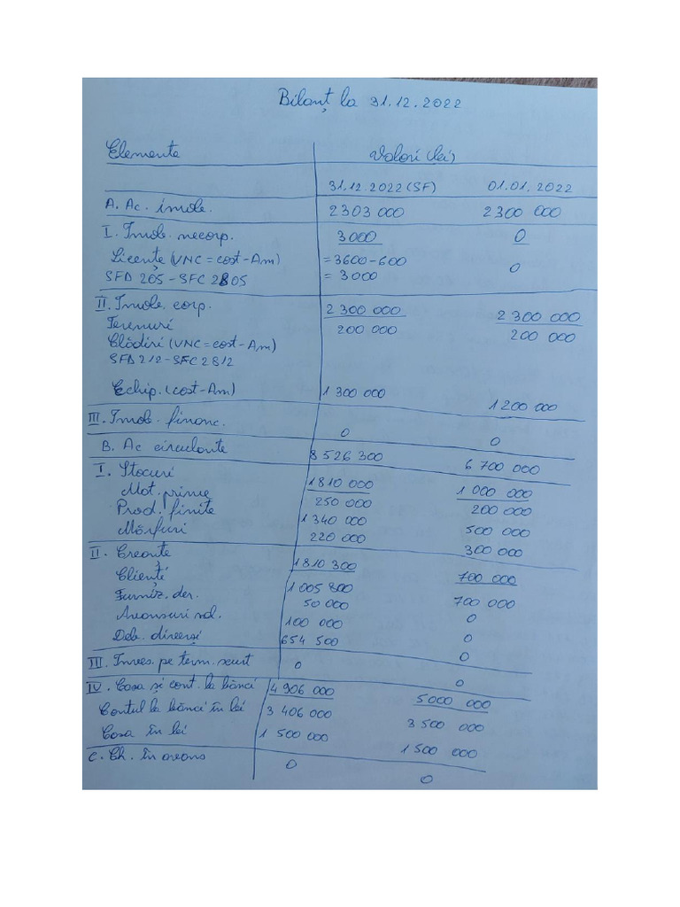 Bilant - Cont Profit Si Pierderi | PDF