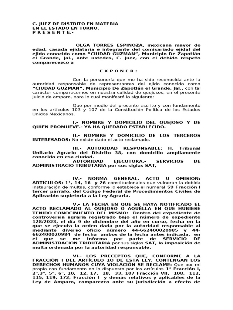 Guzman Amparo Multas | PDF | Multa (pena) | Caso de ley