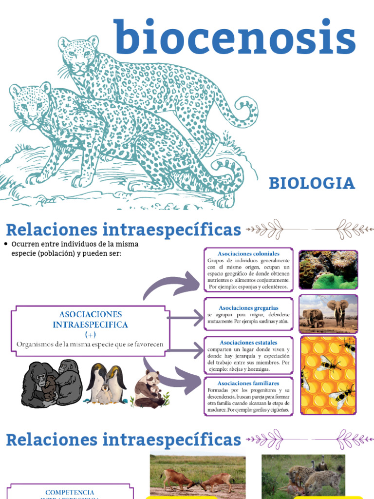 Interacciones Biológicas: Tipos y Ejemplos | PDF | Parasitismo ...