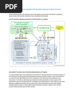 CTAB DNA Extraction Method | PDF