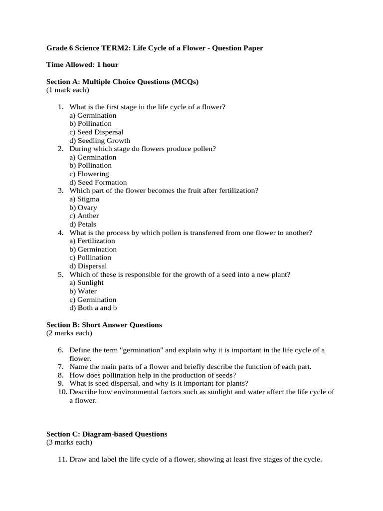 Grade 6 Science Life Cycle of Flower Ques1 | PDF | Flowers | Pollination