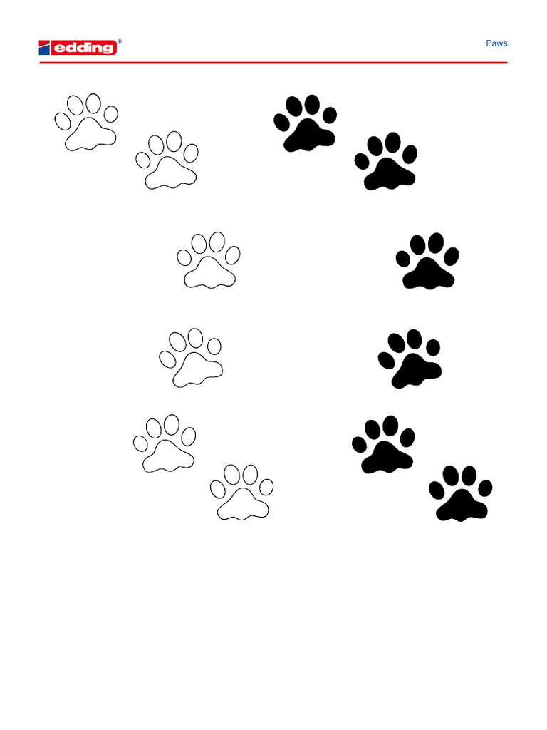 Paws | PDF