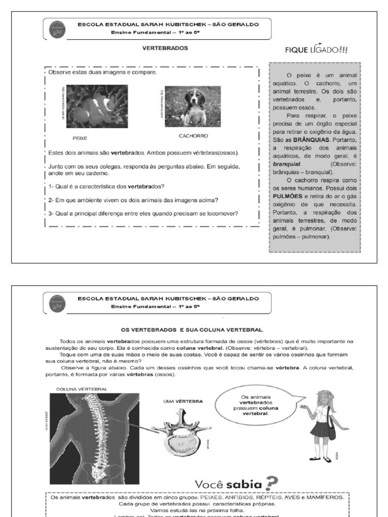 3º B Cien | PDF
