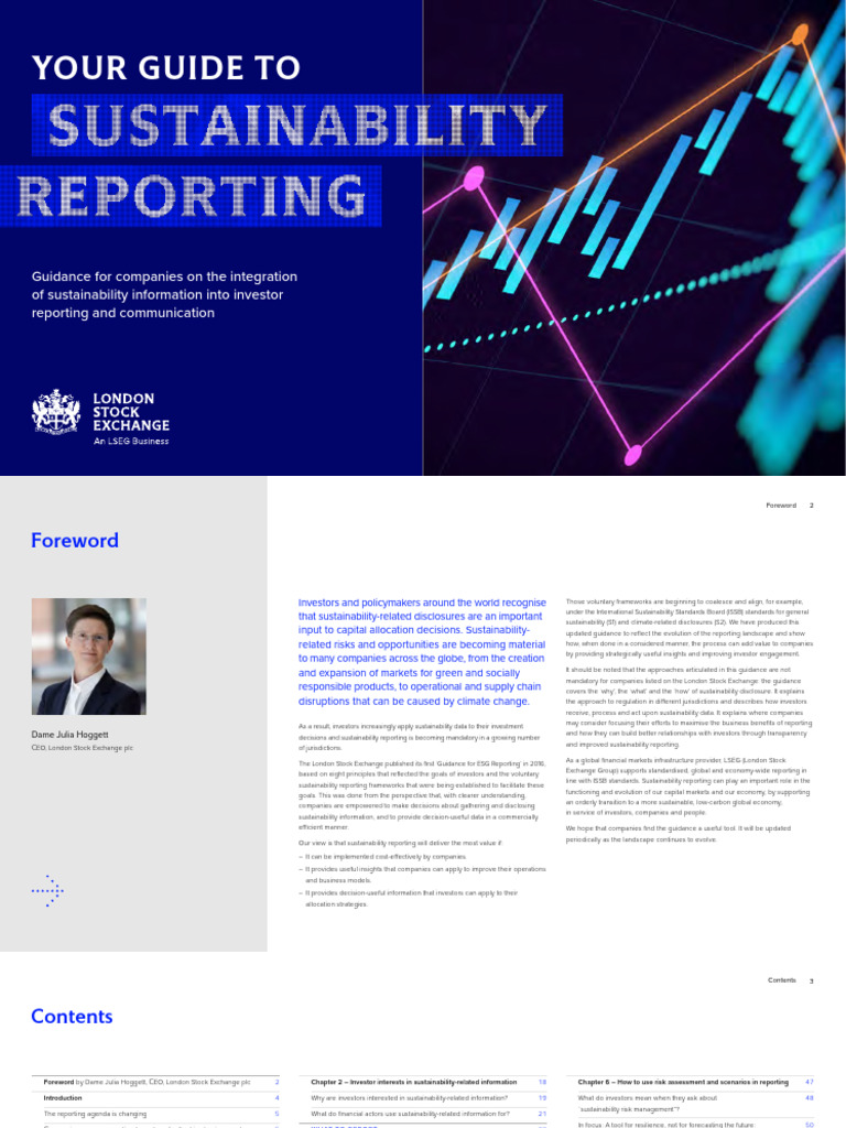LSEG - Sustainability Reporting Guide - 2024 | PDF | Sustainability | Business