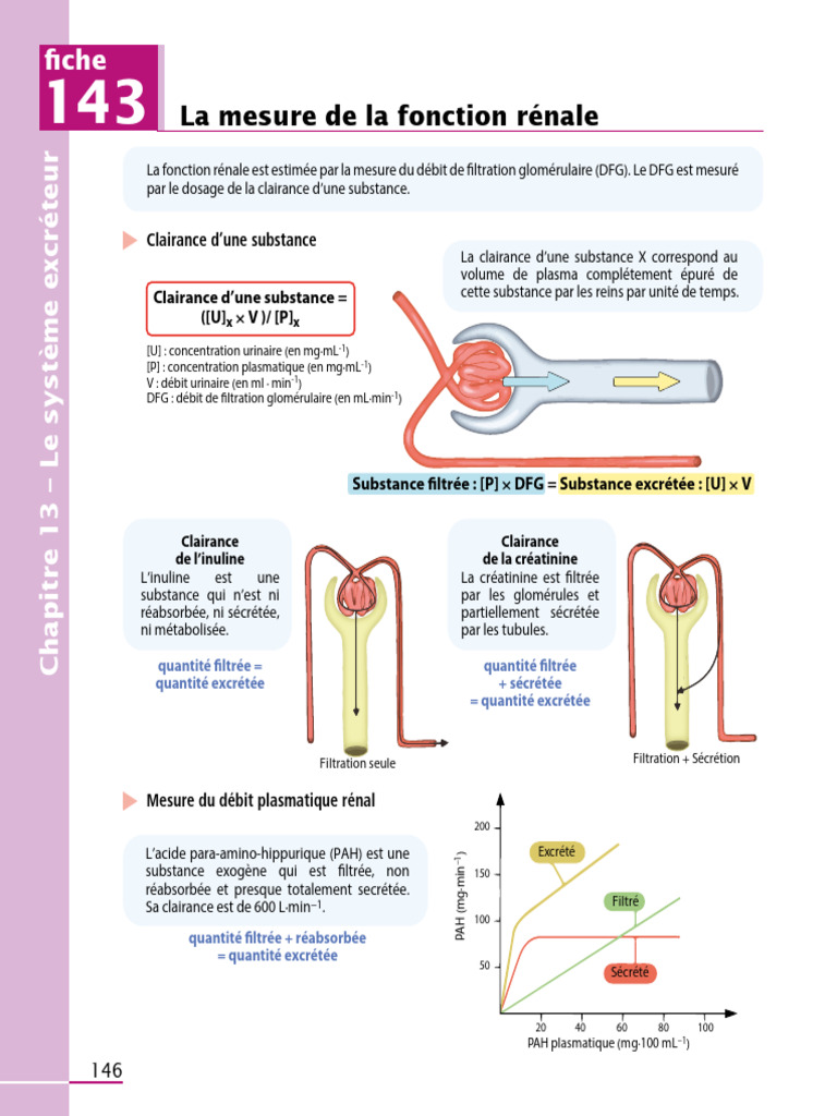 La Mesure de La Fonction Rénale | PDF | Créatinine | Rein